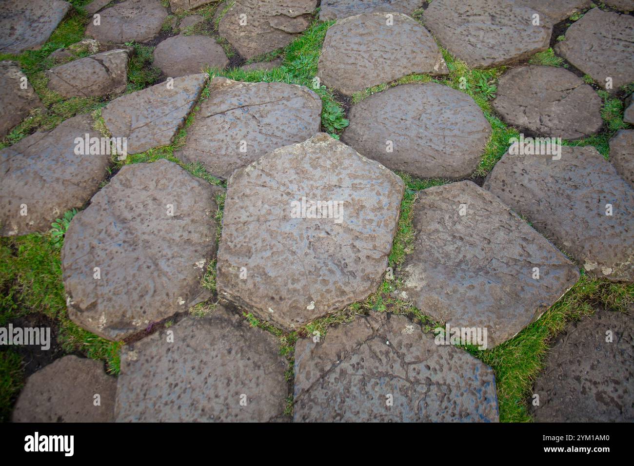 Landmark hexagon hexagonal hi-res stock photography and images - Alamy