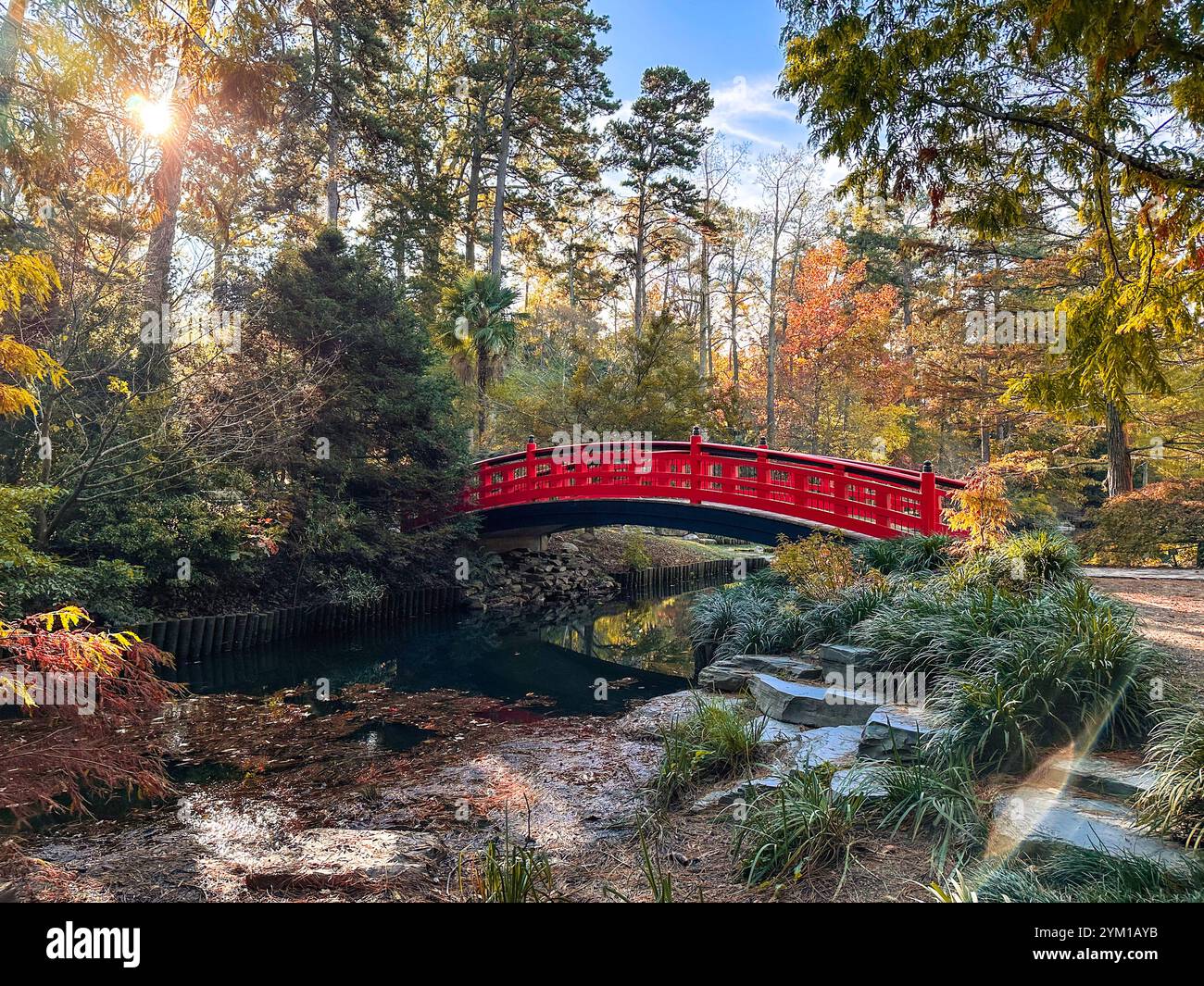 A beautiful lake in a forest botanical garden with a red bridge in the ...
