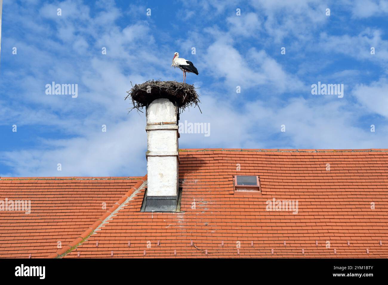 Austria, Rust am Neusiedlersee, stork in nest of house roof in the so ...