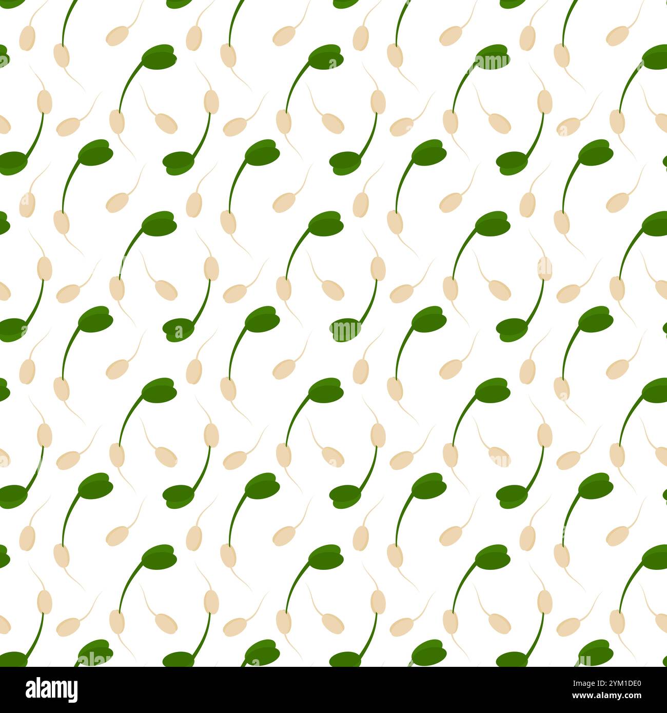 Sprouted seeds with green sprouts and root Seamless Pattern. Healthy ...