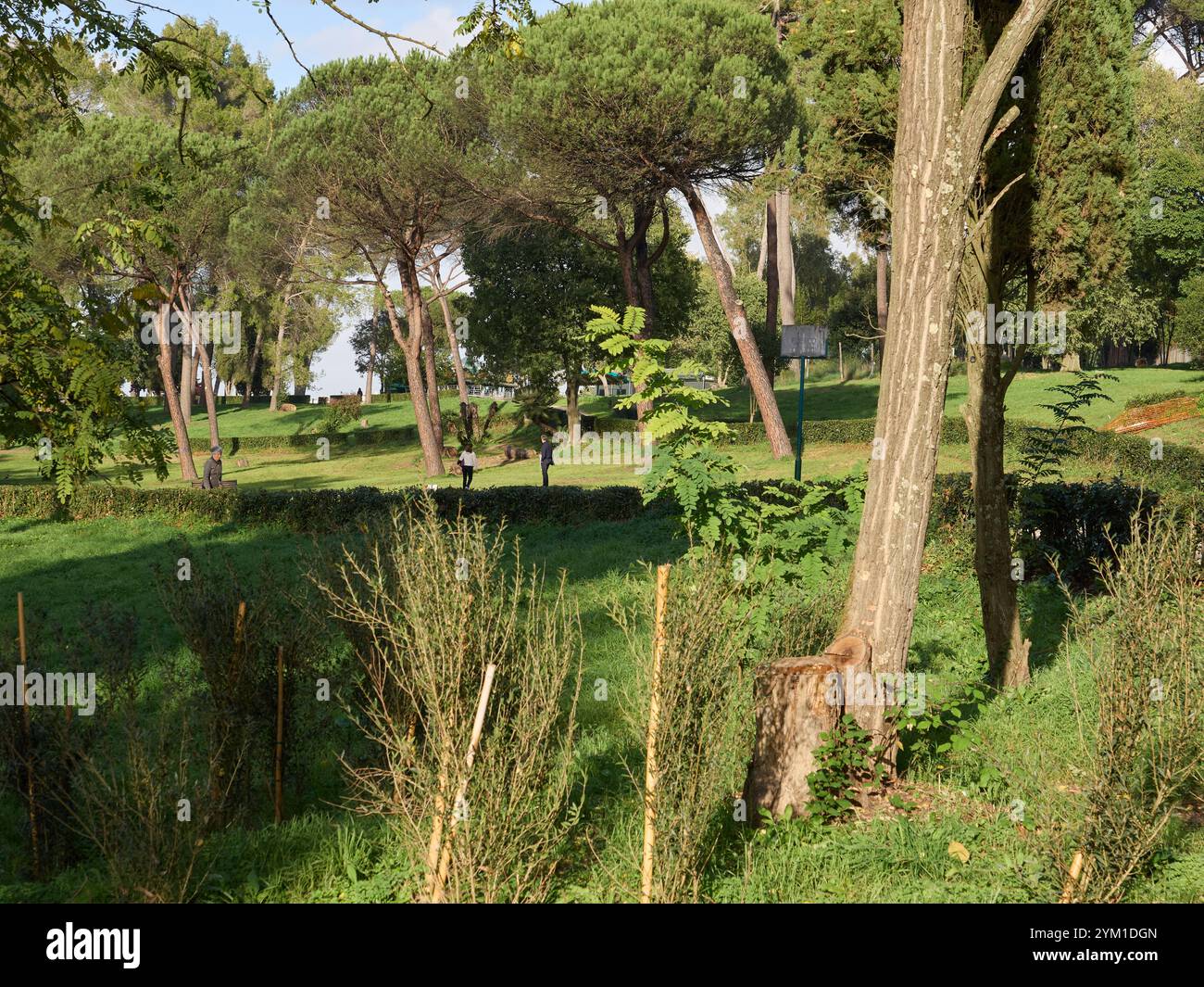 Villa ada roma hi-res stock photography and images - Alamy