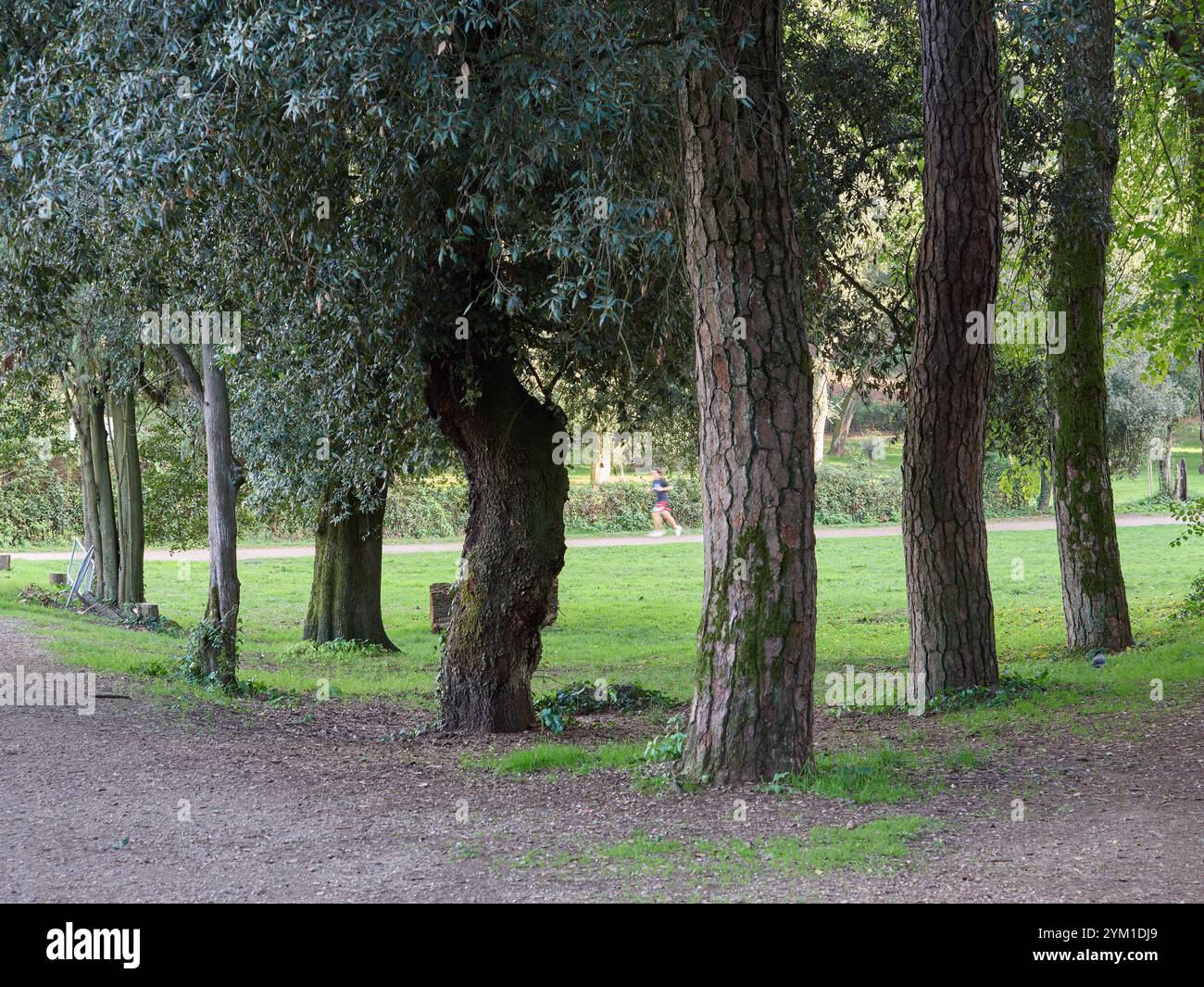 Villa Ada city park of Rome in the autumn, Italy Stock Photo - Alamy