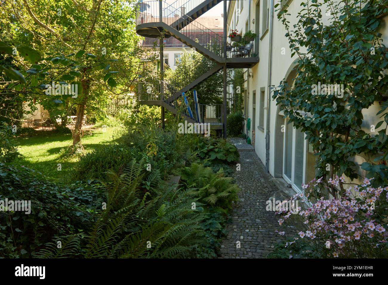 This captivating image portrays a charming medieval courtyard garden ...
