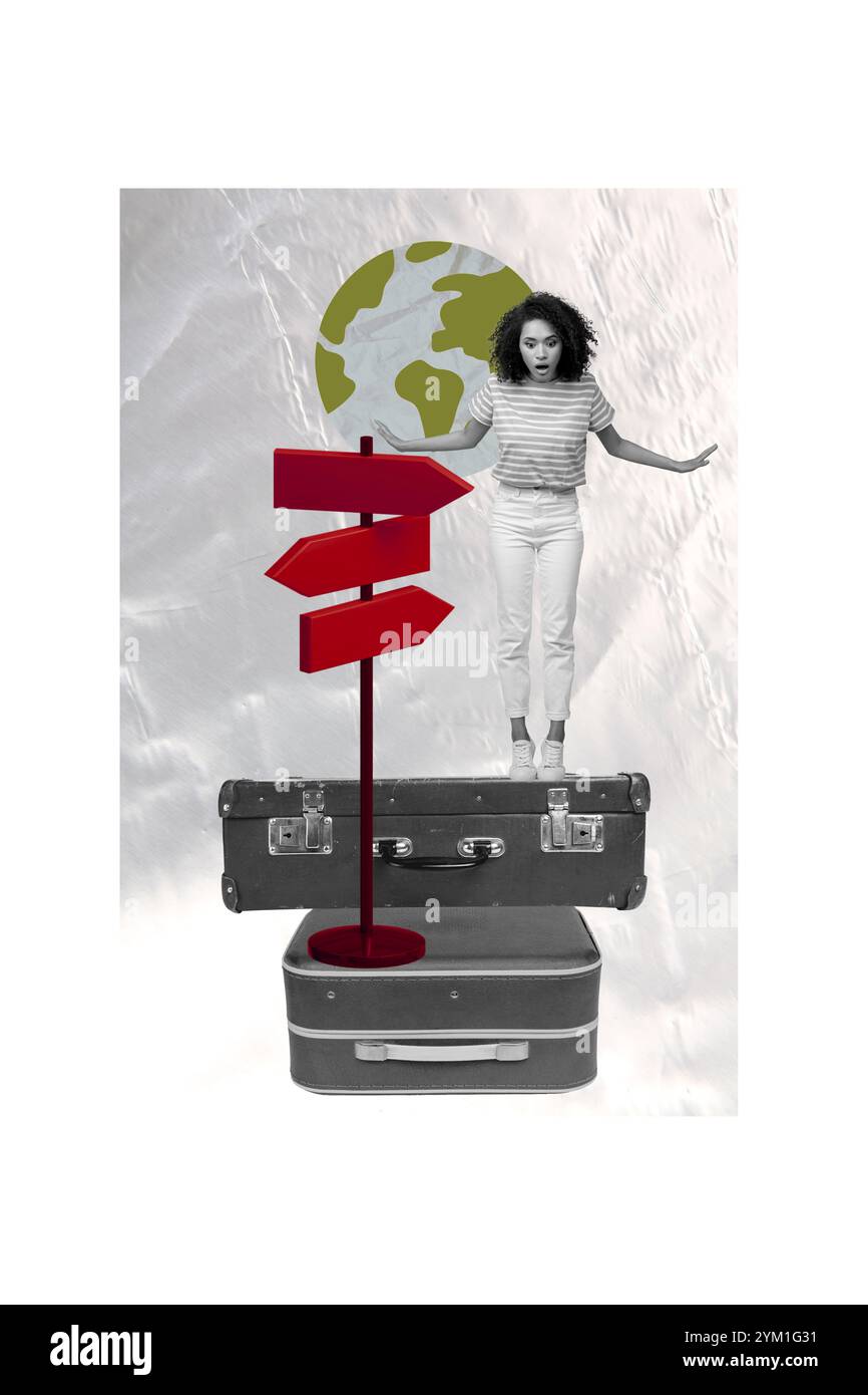 Vertical poster collage young woman suitcase valise traveler lost way ...