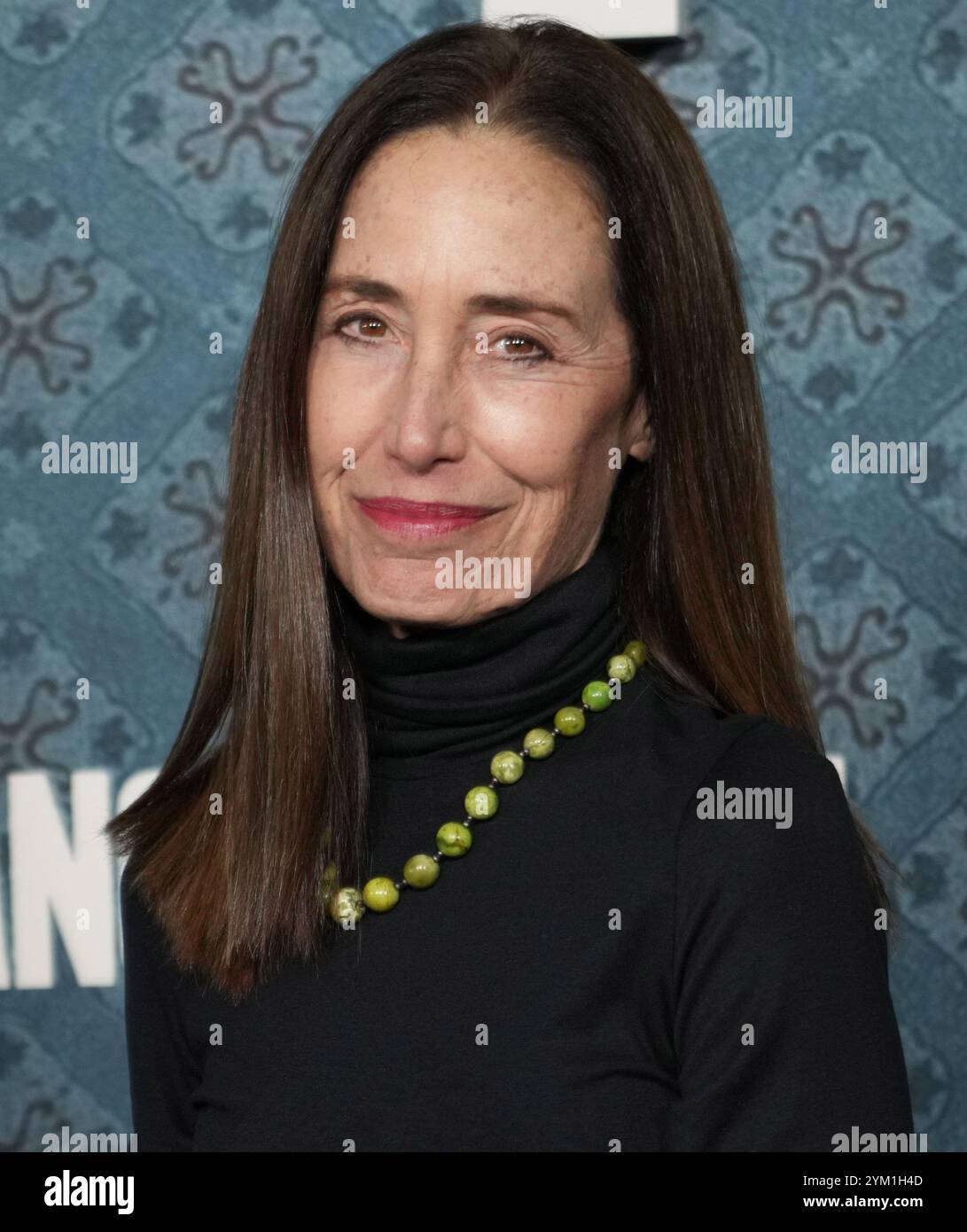 Los Angeles, USA. 19th Nov, 2024. Deva Anderson arrives at Netflix's ...