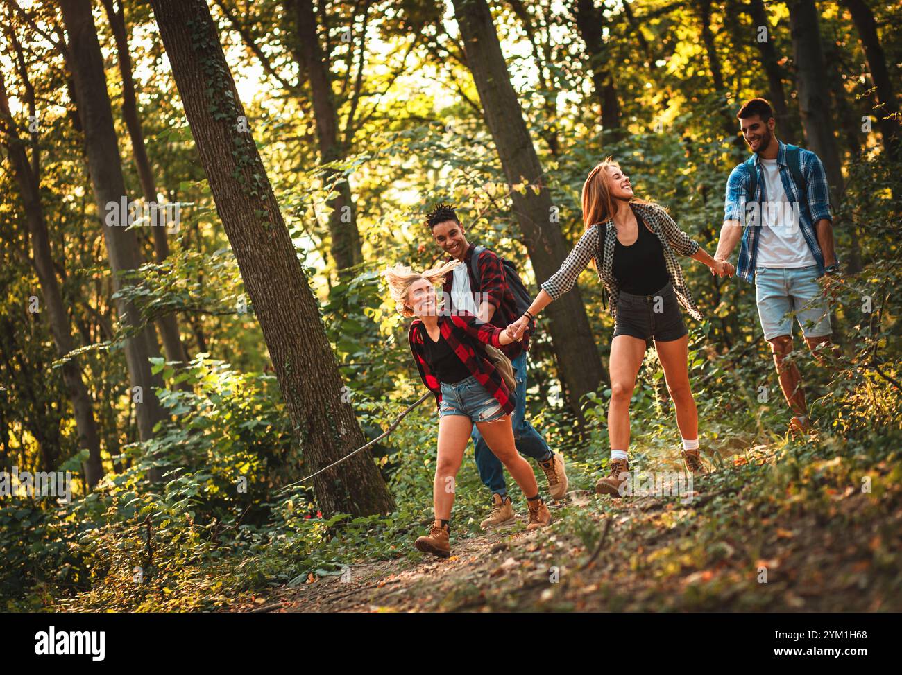 Multiracial group young friends having hi-res stock photography and ...
