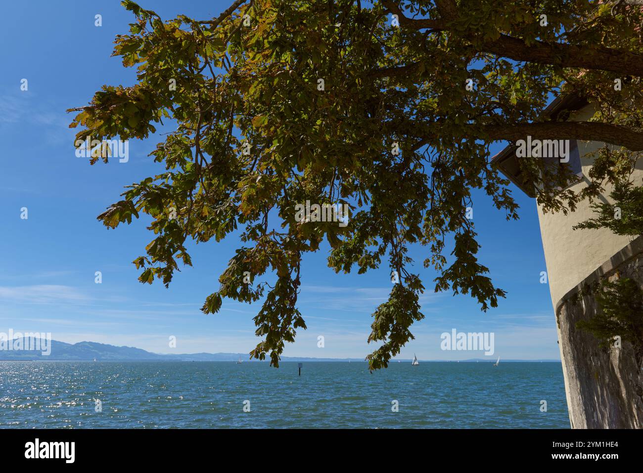 Medieval Castle Tower on Bodensee Shore in Lindau with Yacht and Alpine ...