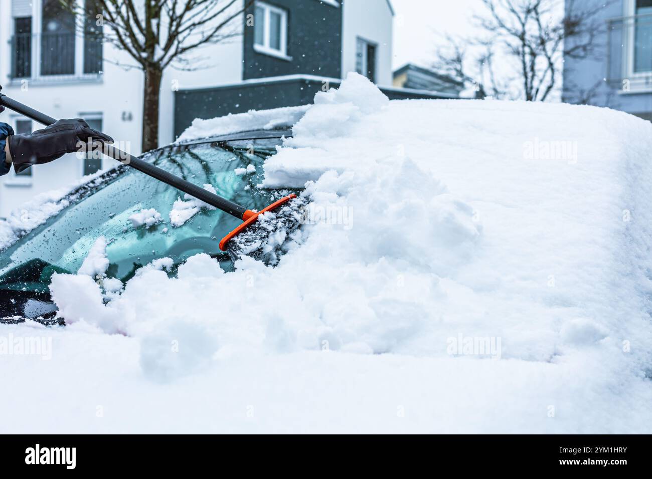 Cleaning and scraping windscreen from snow Stock Photo - Alamy