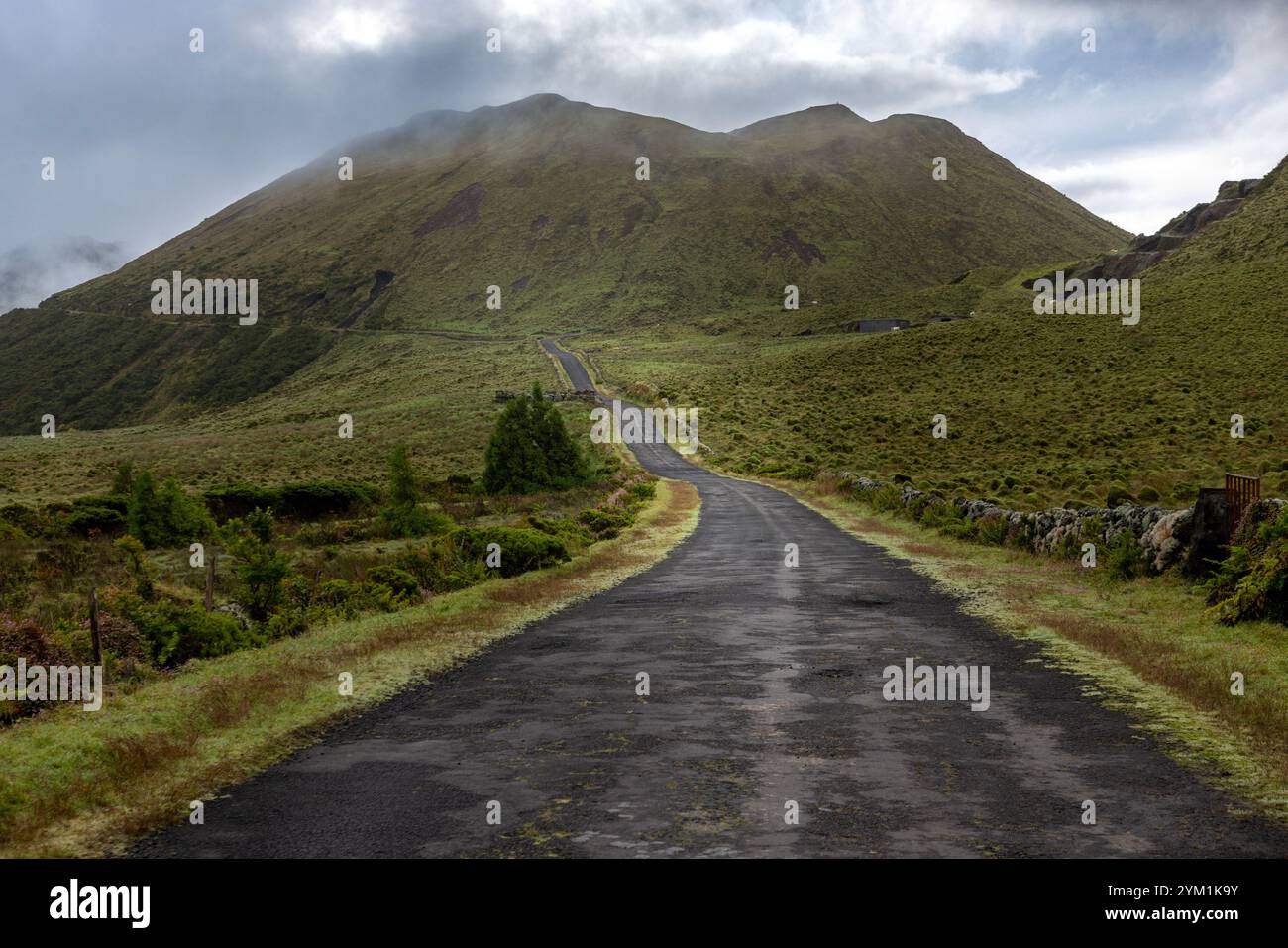 Volcanic landscape along the Caminho das Lagoas in Pico Island, Azores ...