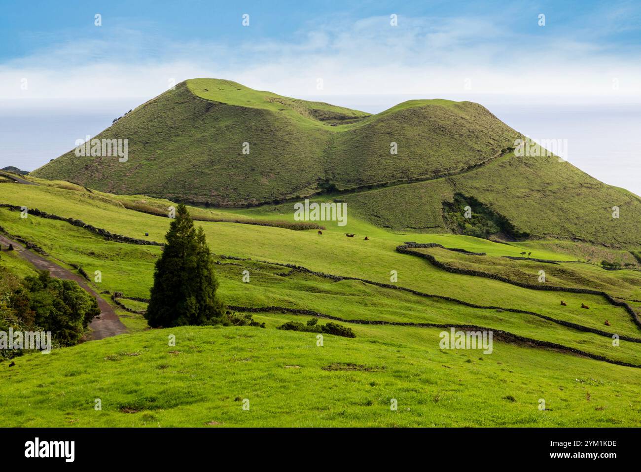 Volcanic landscape along the Caminho das Lagoas in Pico Island, Azores ...