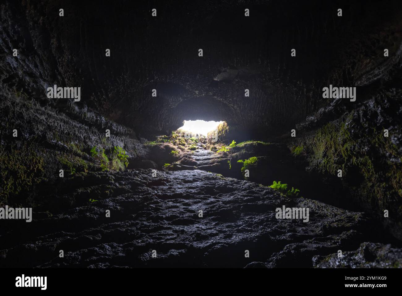 The Furna de Frei Matias is a lava cave below the Pico Mountain on Pico ...