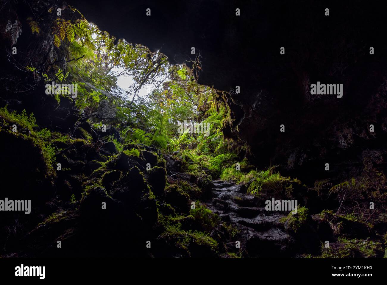 The Furna de Frei Matias is a lava cave below the Pico Mountain on Pico ...