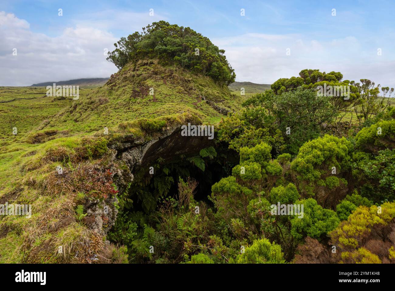 The Furna de Frei Matias is a lava cave below the Pico Mountain on Pico ...