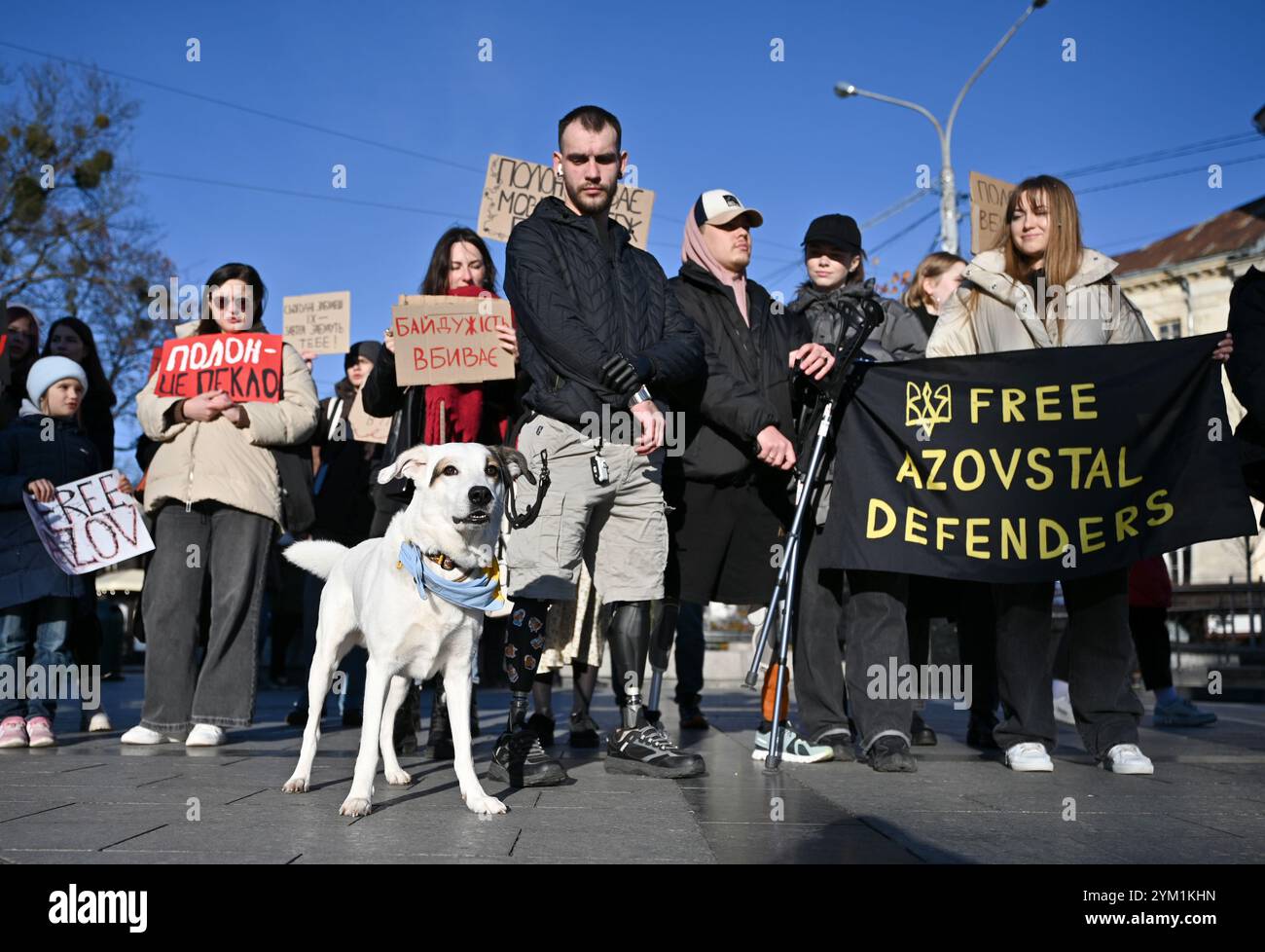 Attending a dog hi-res stock photography and images - Alamy