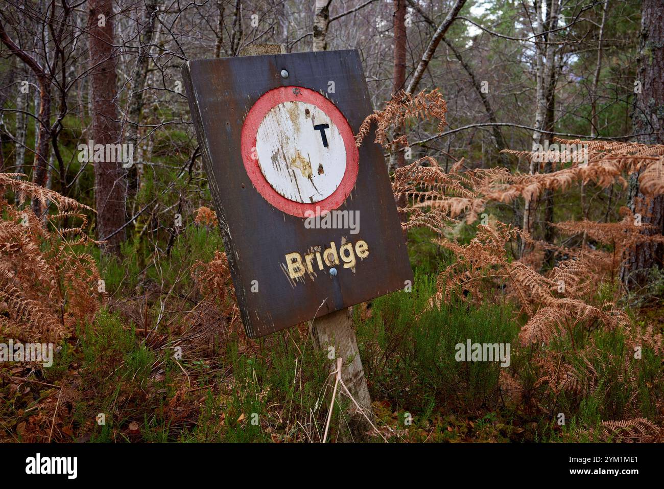 A rather washed out bridge weight limit sign in Scotland's natural and ...