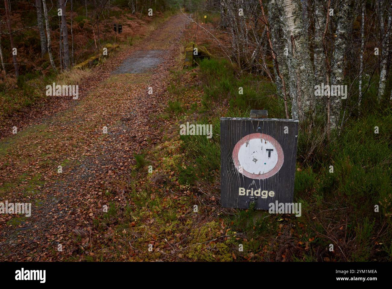 A rather washed out bridge weight limit sign in Scotland's natural and ...