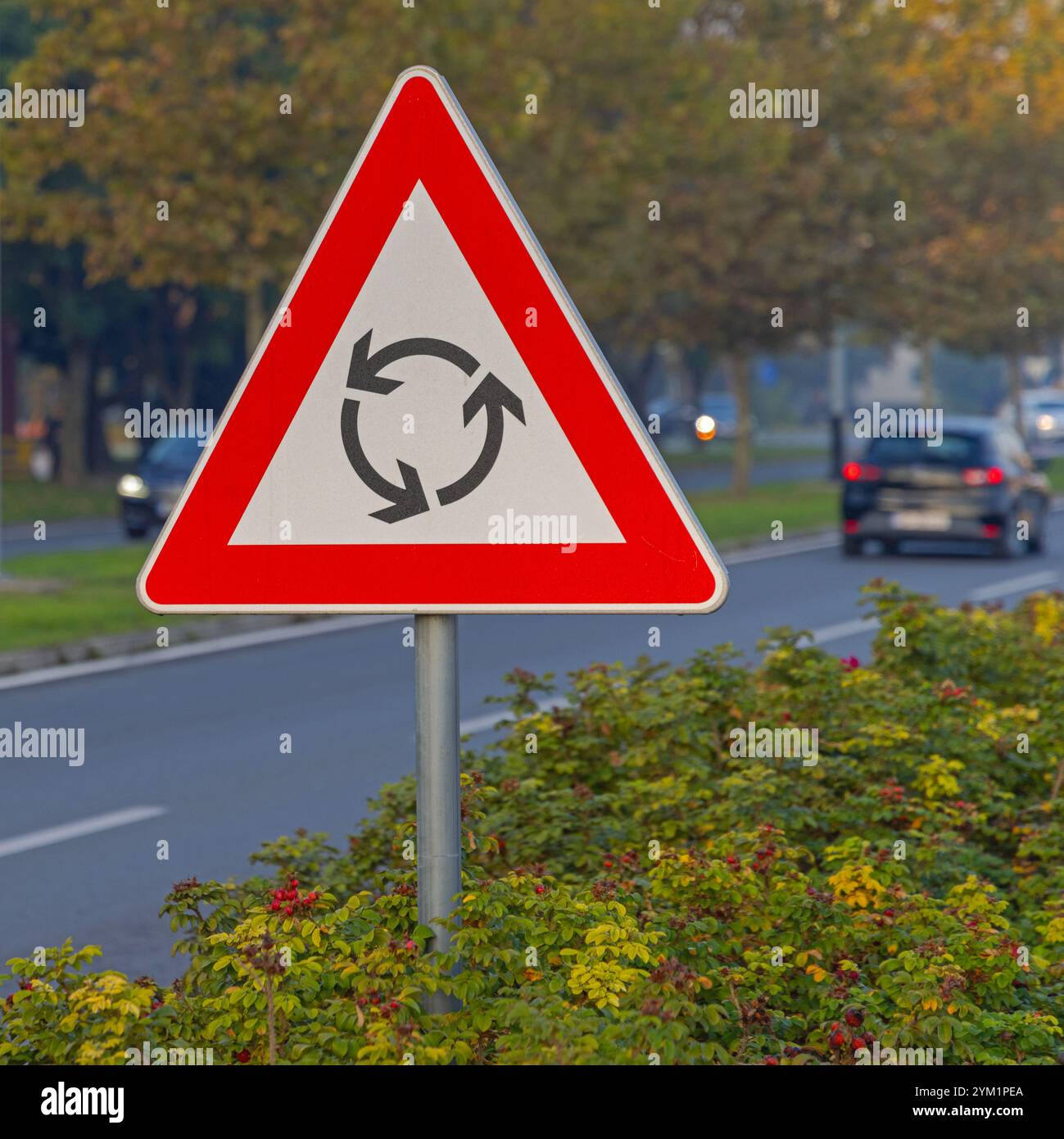 Roundabout Ahead Warning Triangle Traffic Sign at City Street Stock Photo - Alamy