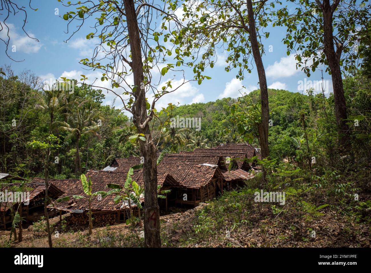 Traditional house on the edge of a teak forest in Gunung Kidul ...