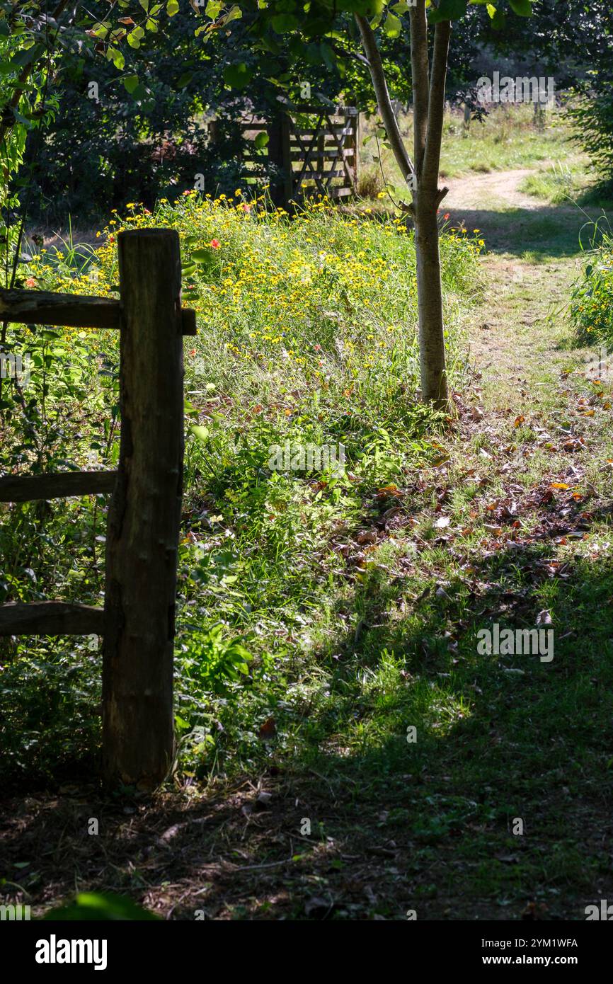 A large rural garden with path tracking through meadows of flowers into ...