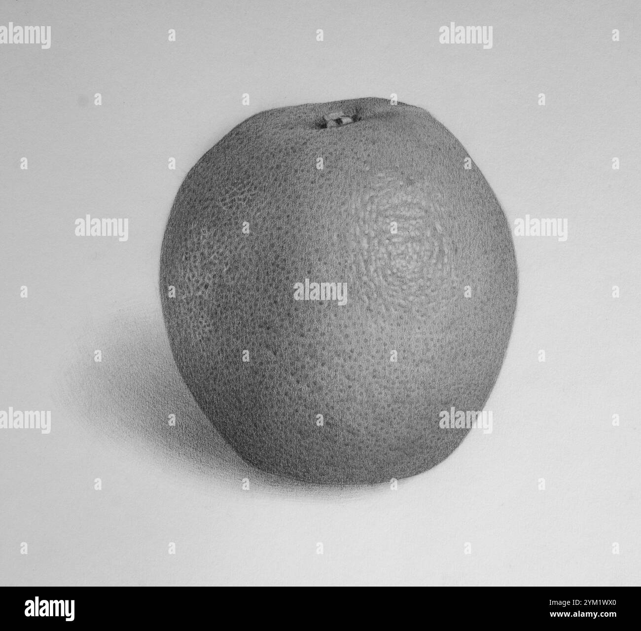 A finely rendered pencil sketch of an orange, showcasing its textured ...