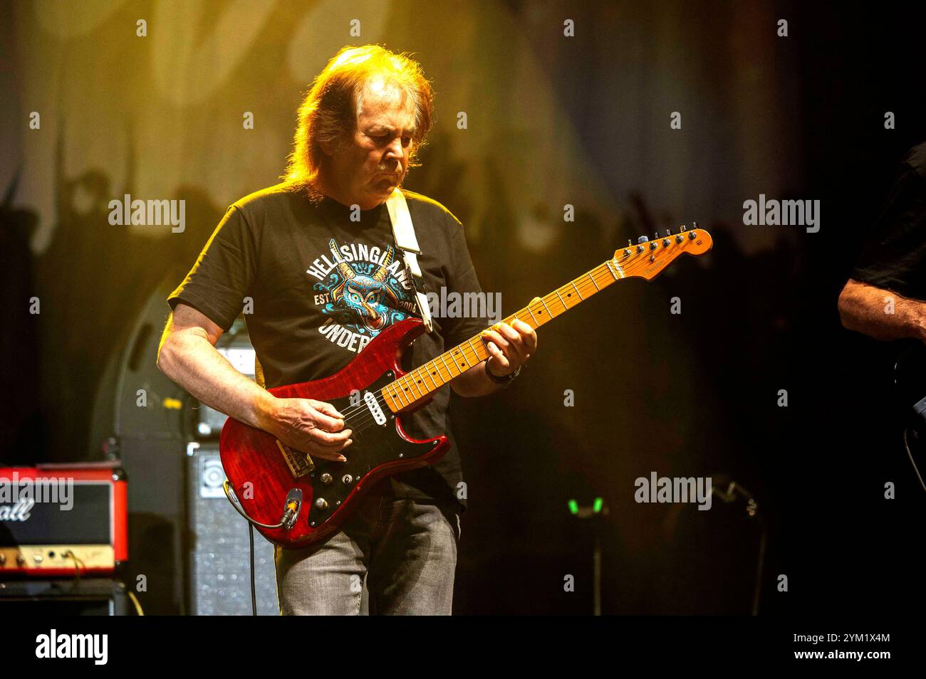 T rex band hi-res stock photography and images - Alamy