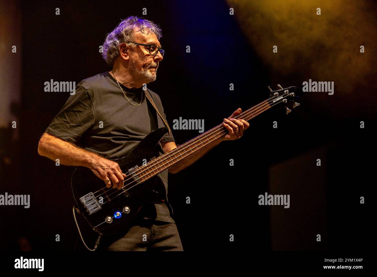 T rex band hi-res stock photography and images - Alamy