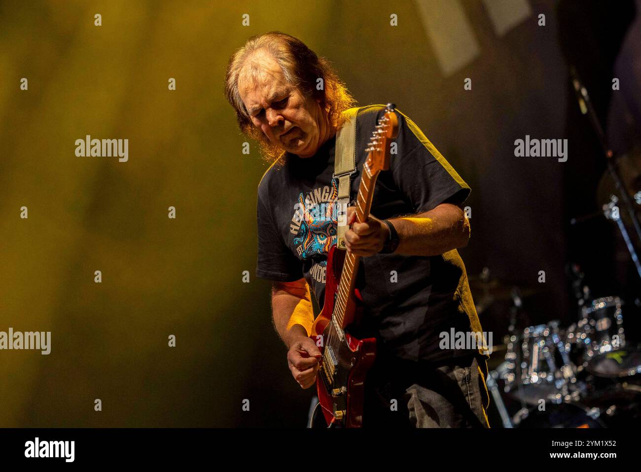 T rex band hi-res stock photography and images - Alamy