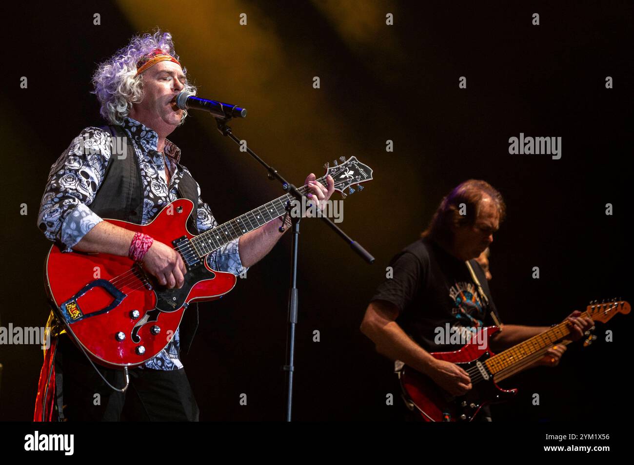 T rex band hi-res stock photography and images - Alamy