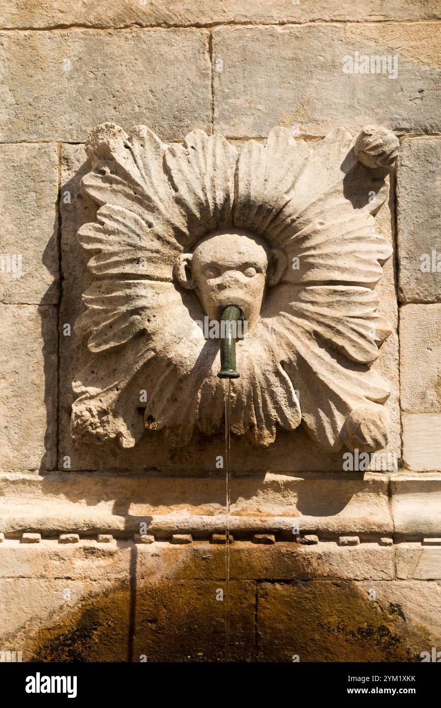 Monkey sculpture facemask outlet tap on Large Onofrio Fountain / Big ...