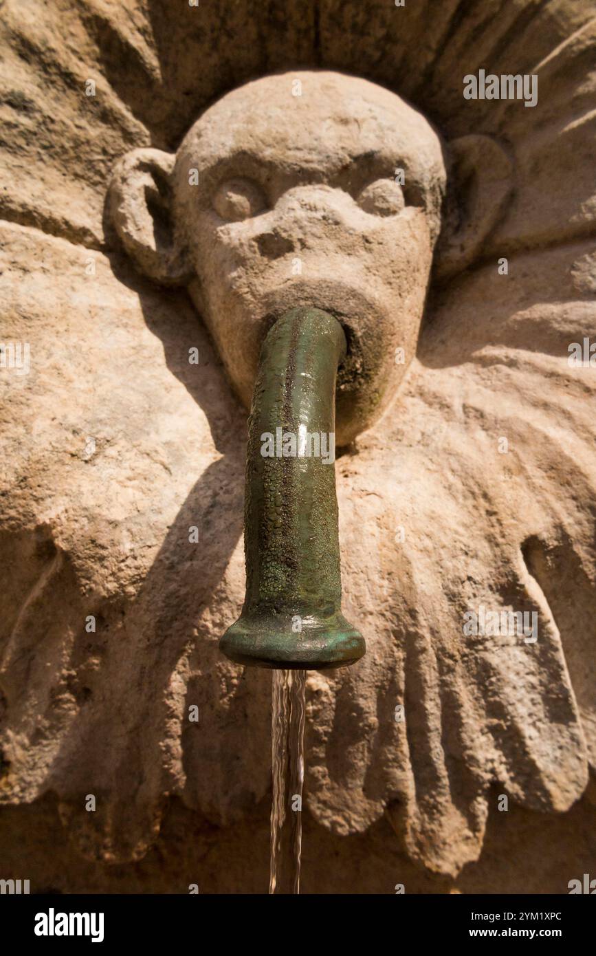 Monkey sculpture facemask outlet tap on Large Onofrio Fountain / Big ...