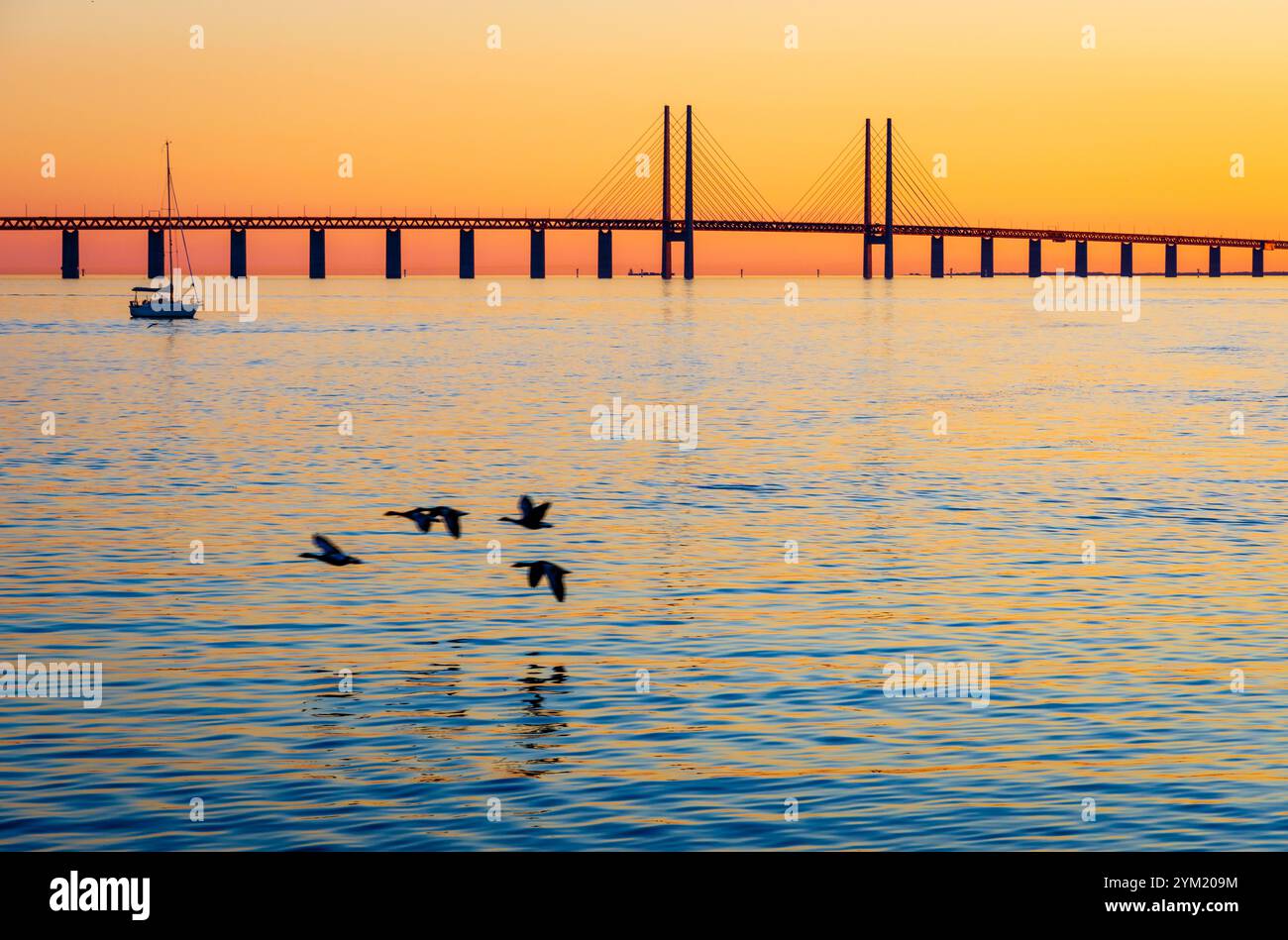Sunset view of the Oresund bridge, a railway and motorway cable-stayed ...