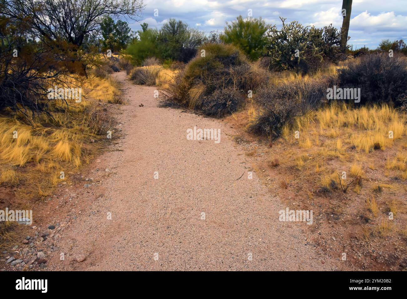 Fluvial fluvial fluvial fluvial arroyo hi-res stock photography and ...