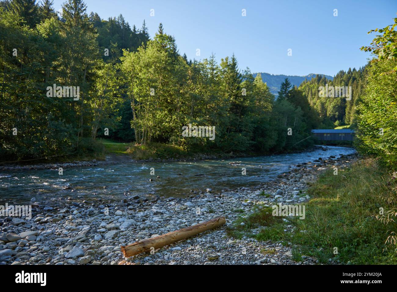 Pristine Alpine Stream Flows Through Lush Mountain Valley with Eco ...