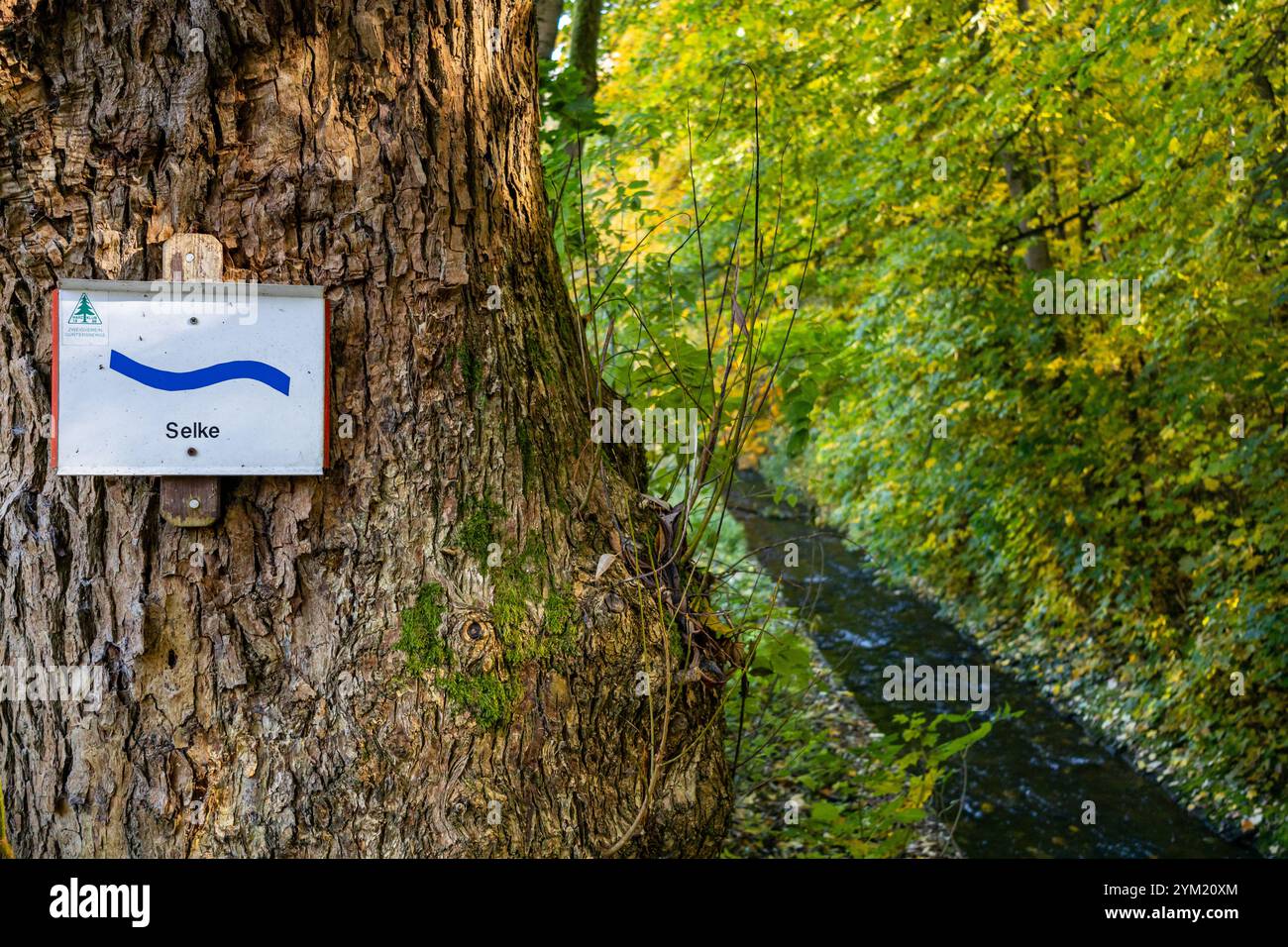 Das Selketal Harz die Selke Stock Photo - Alamy