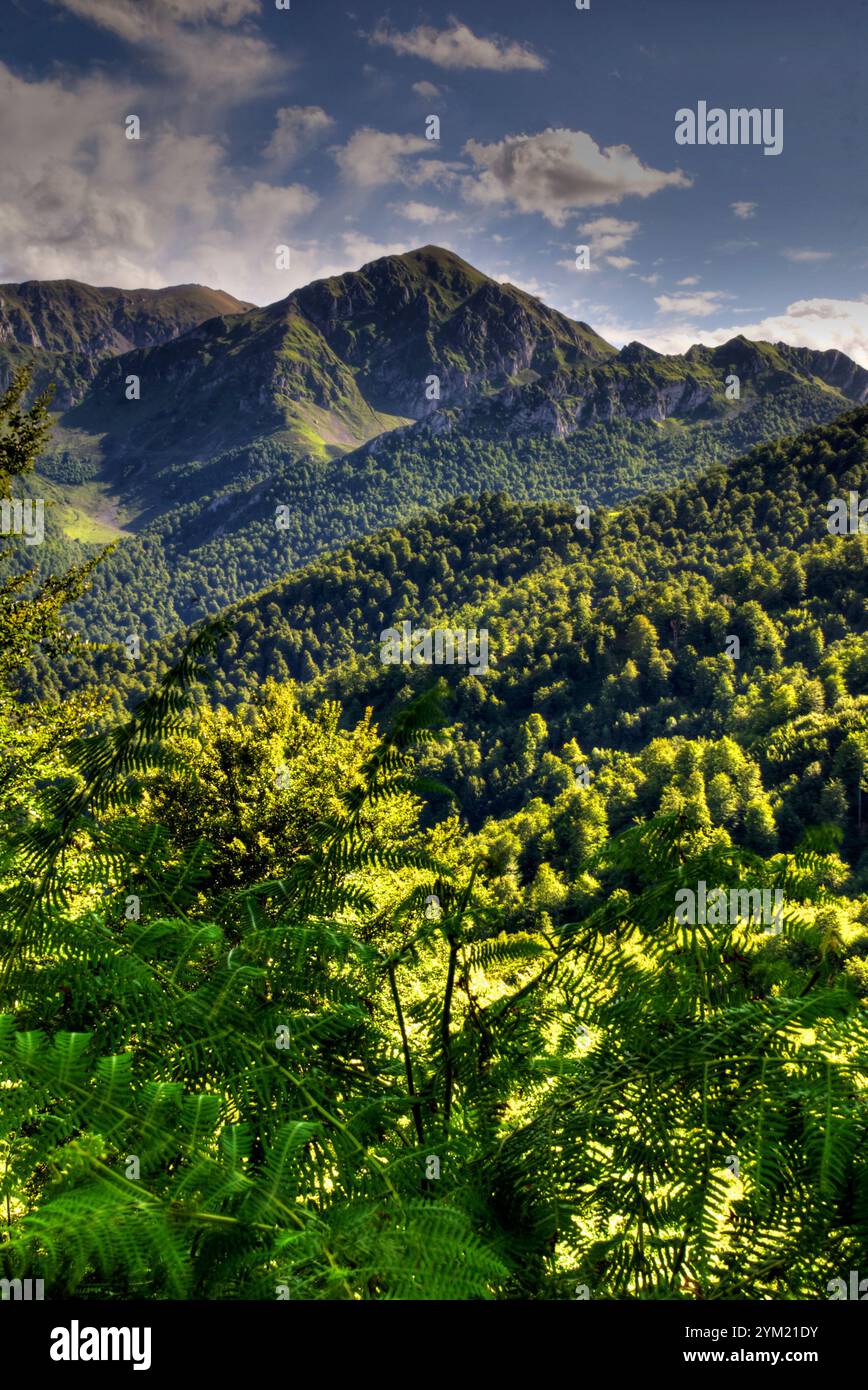 Peña Ten and Pileñes Peaks. Peloño Forest. Ponga Council. Asturias ...