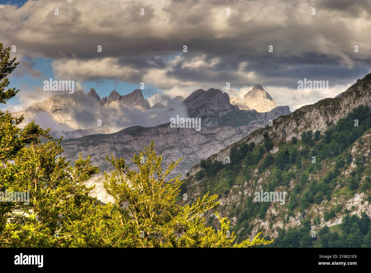 Ponga national park asturias hi-res stock photography and images - Alamy