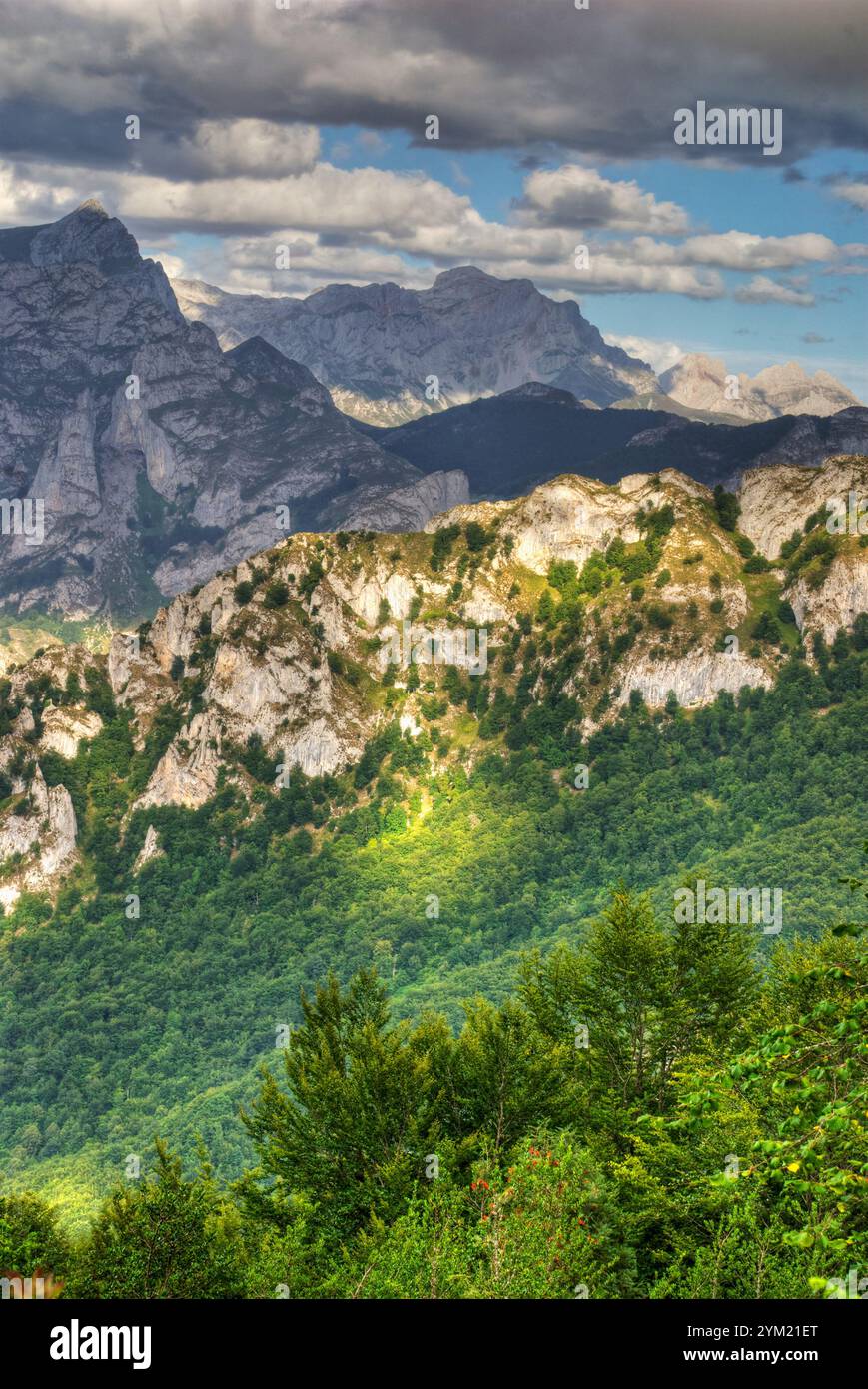 Peloño Forest. San Juan de Beleño. Ponga Council. Asturias. Spain Stock ...