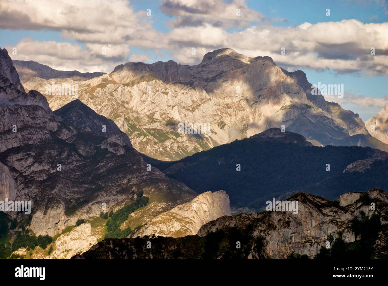 Ponga national park asturias hi-res stock photography and images - Alamy
