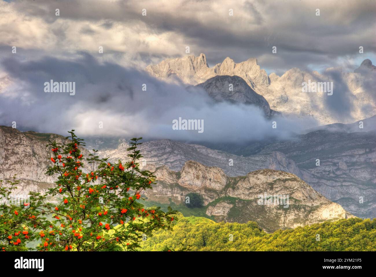 Western Massif of Picos de Europa from Ponga Council. Asturias. Spain ...