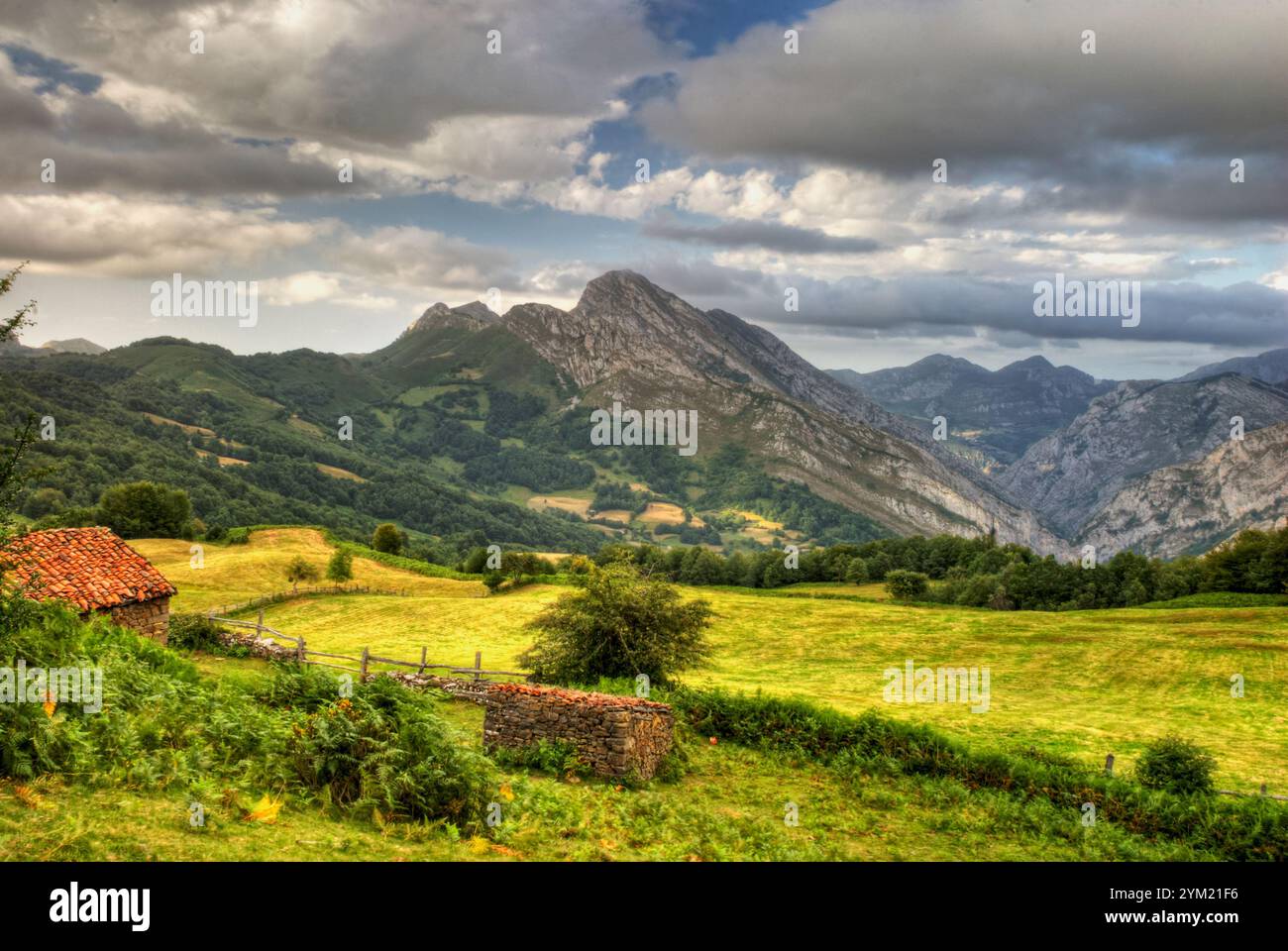Meadows. San Juan de Beleño. Ponga Council. Asturias. Spain Stock Photo ...