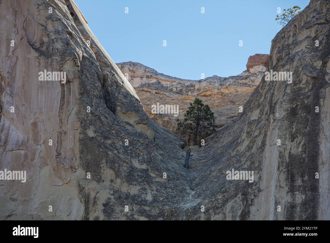 The plateau loop hike at Morro National Monument: probably the best day ...