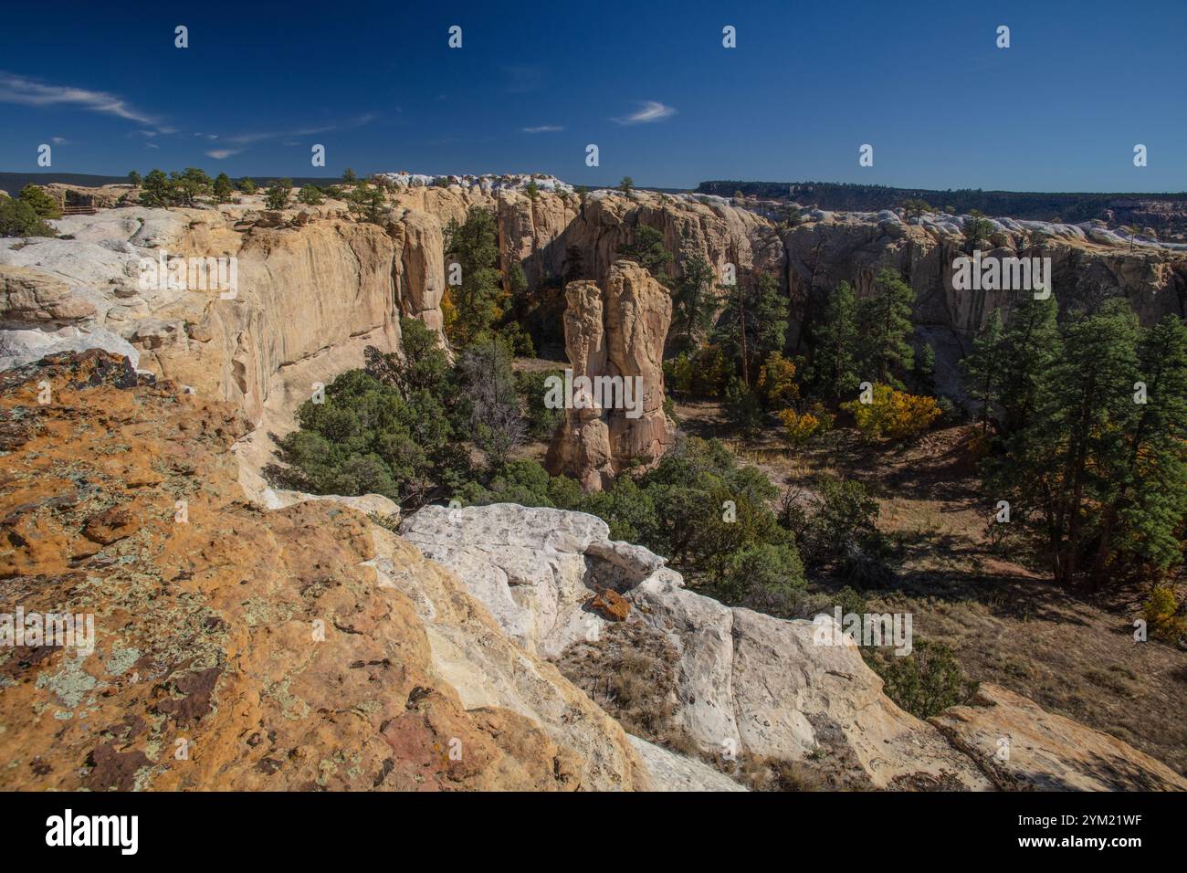 The plateau loop hike at Morro National Monument: probably the best day ...