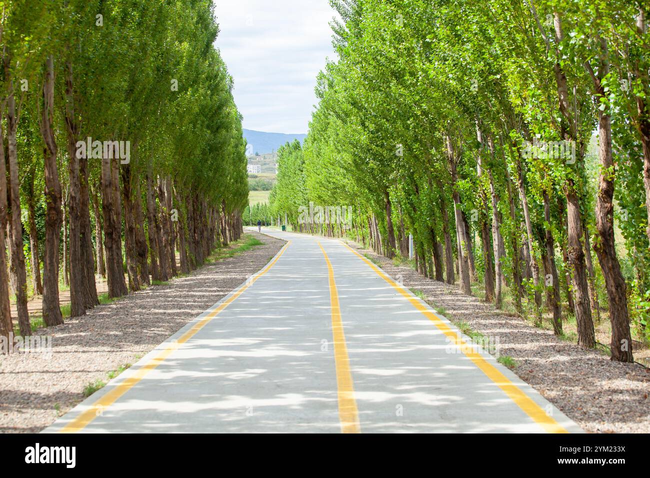 Bicycle and pedestrian path around Lake Lisi, Tbilisi Stock Photo - Alamy