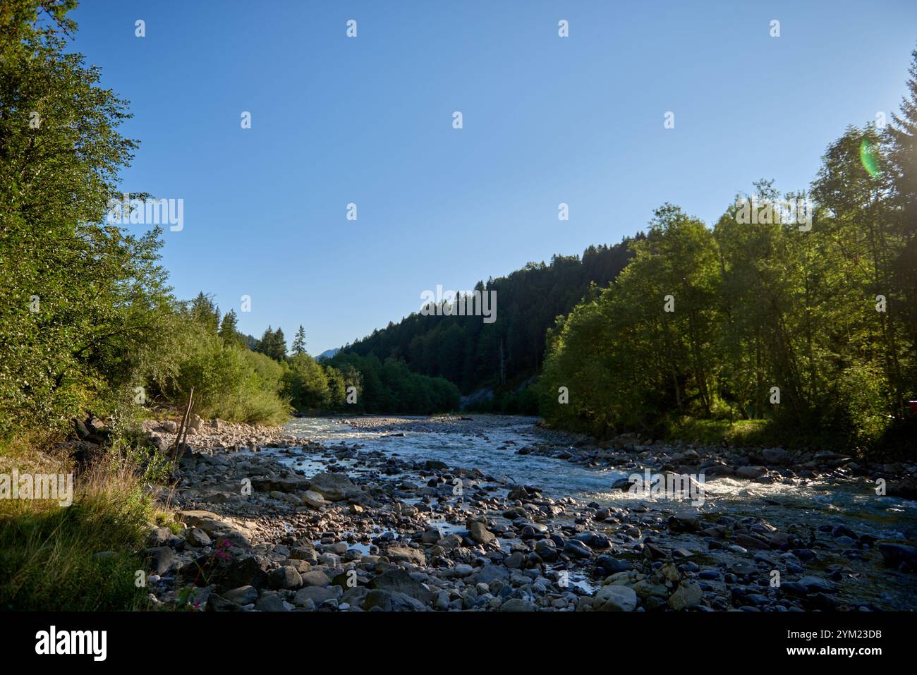 Pristine Alpine Stream Flows Through Lush Mountain Valley with Eco ...