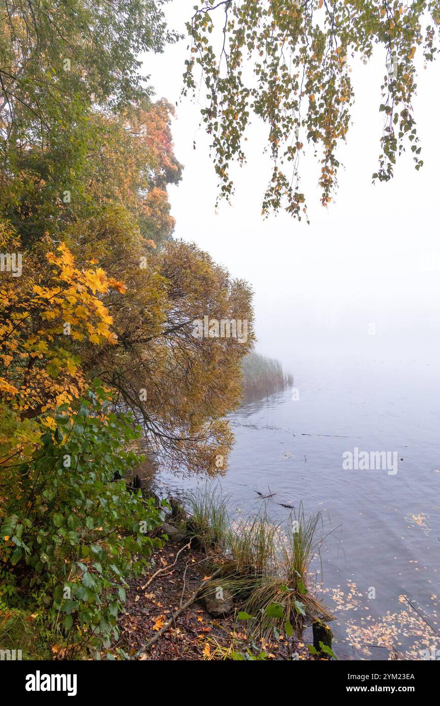 Season in latvia hi-res stock photography and images - Alamy