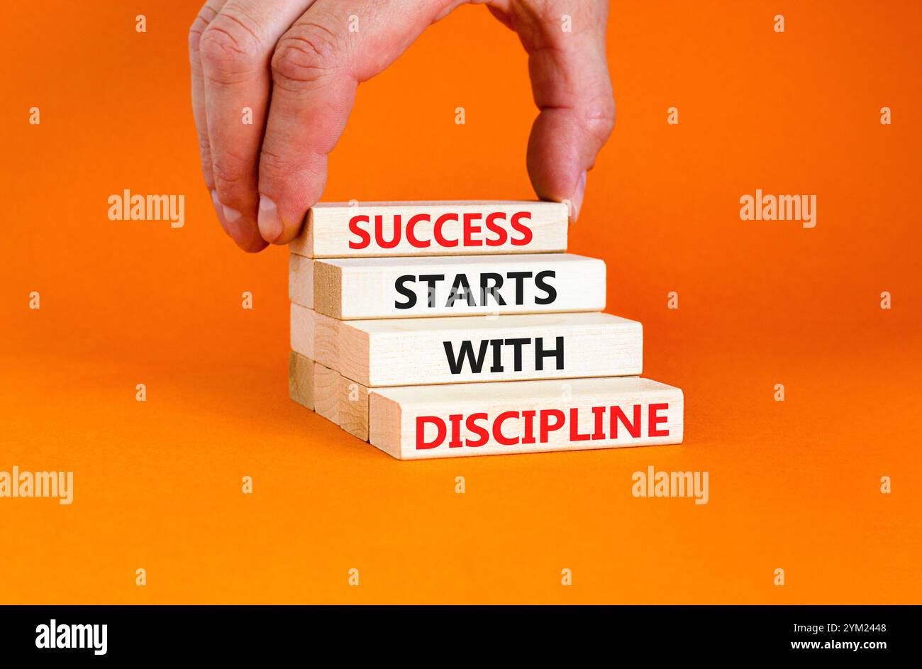 Success starts with discipline symbol. Concept words Success starts with discipline on beautiful ...