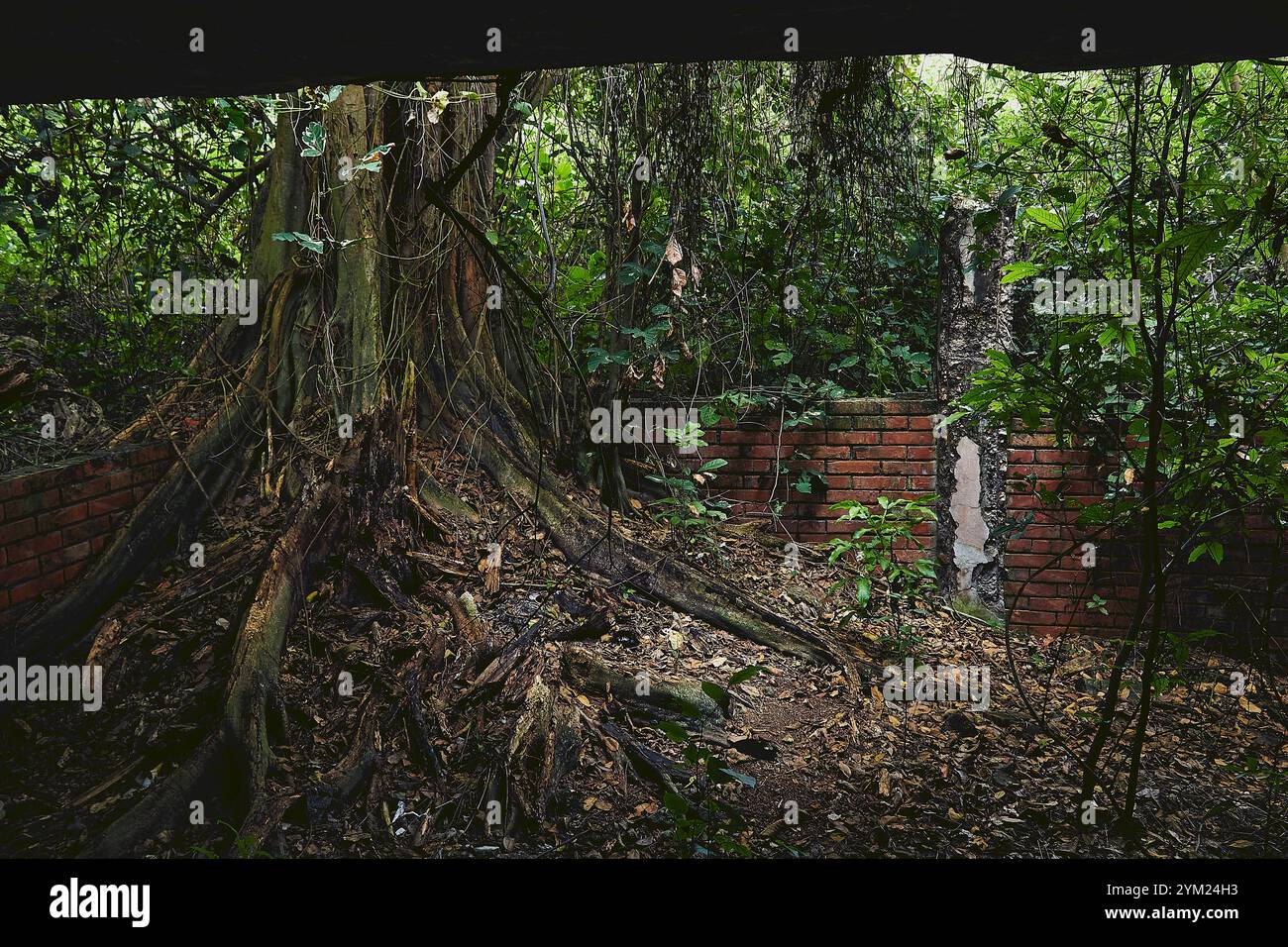 Picture of Armero, a former town engulfed by the pyroclastic flows ...