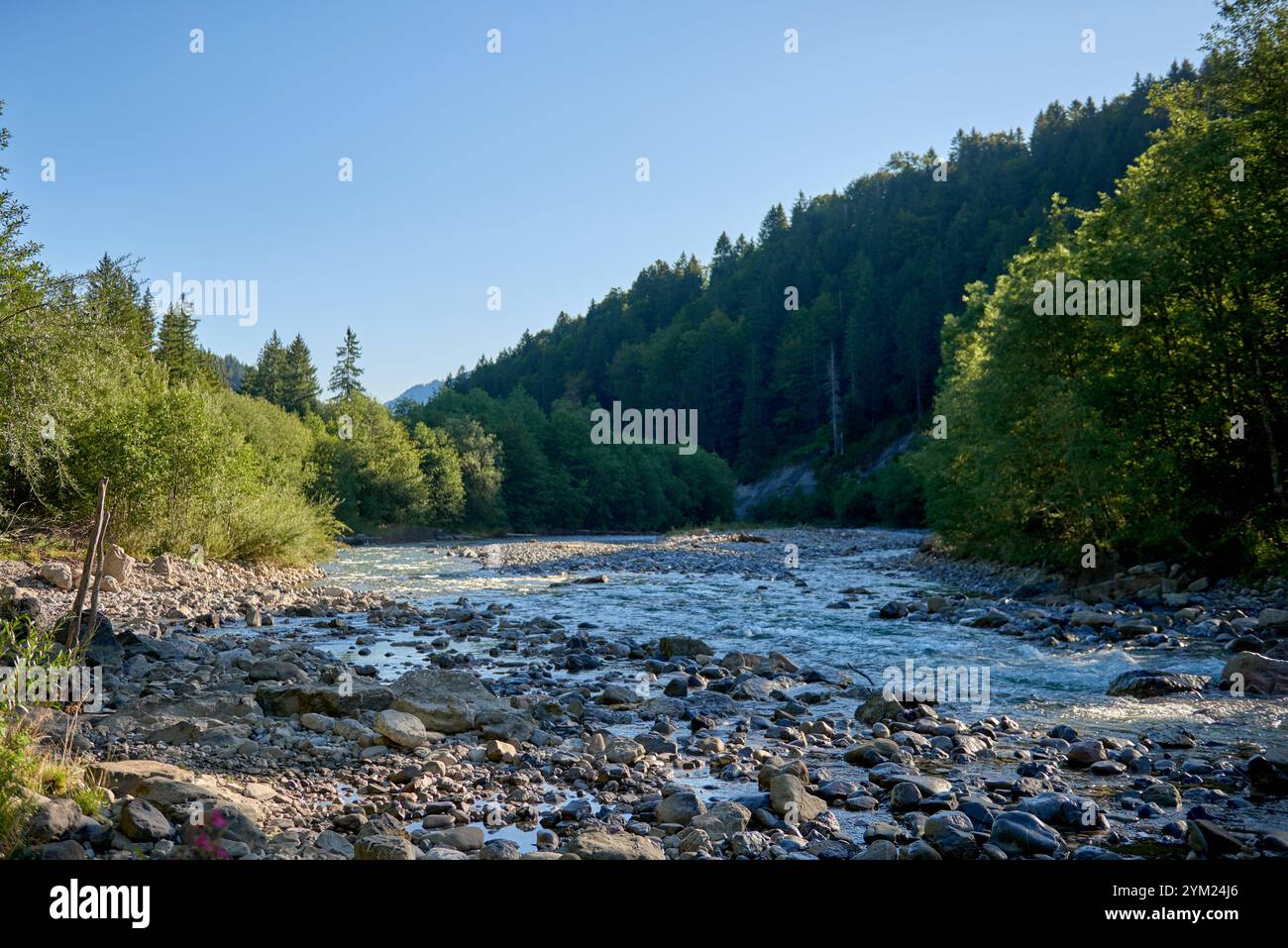 Pristine Alpine Stream Flows Through Lush Mountain Valley with Eco ...