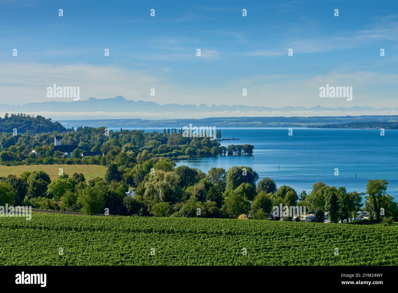 Breathtaking Bodensee Panorama Featuring Alpine Peaks, Vineyards, and ...