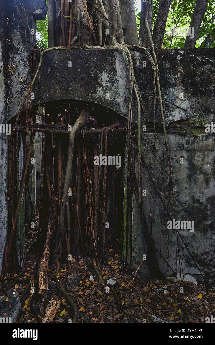 Picture of Armero, a former town engulfed by the pyroclastic flows ...